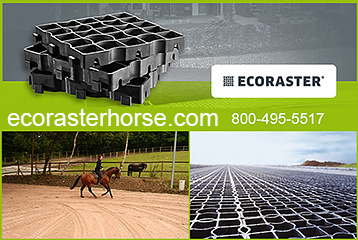 Horse Information , Horse Training, Horse Care , Info Horse Information ...