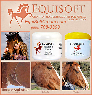 Burn Treatments for Horses