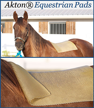 Show Equine Professional Company