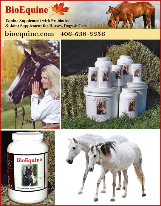 Show Equine Professional Company