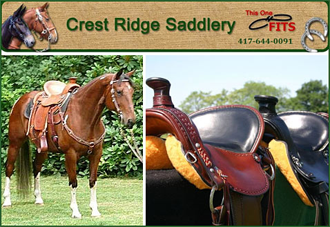 Show Equine Professional Company