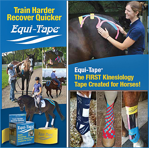 Show Equine Professional Company