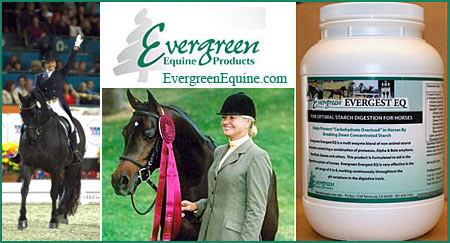 Show Equine Professional Company