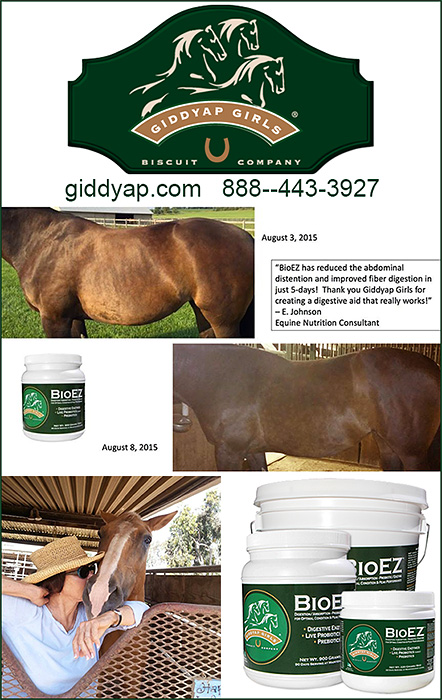 Show Equine Professional Company