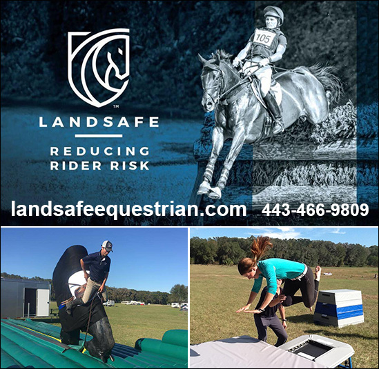 Show Equine Professional Company