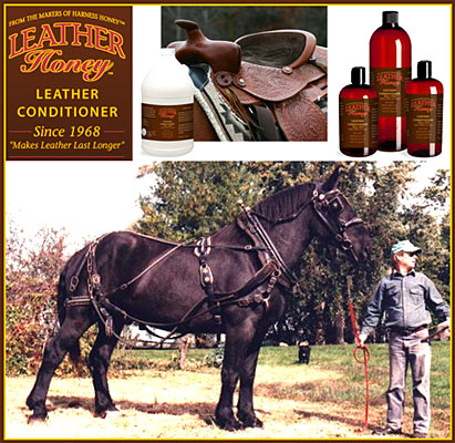 Show Equine Professional Company