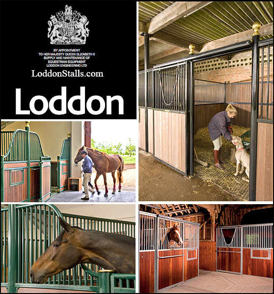 Show Equine Professional Company