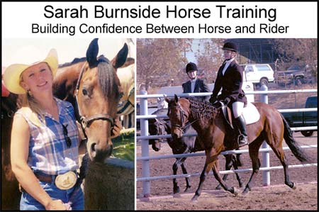 Show Equine Professional Company