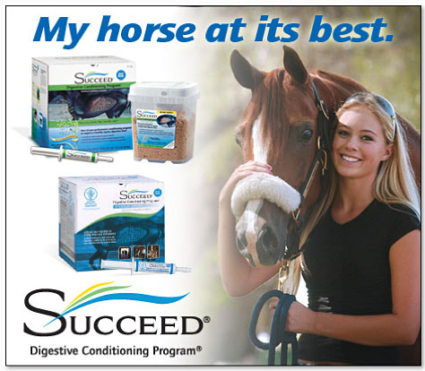 Show Equine Professional Company