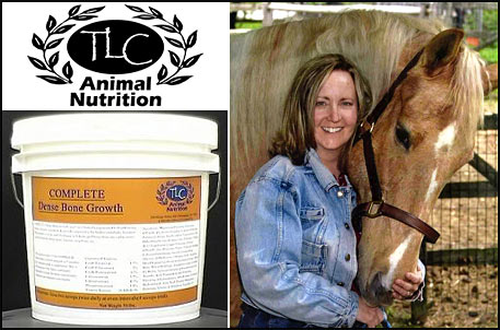 Show Equine Professional Company