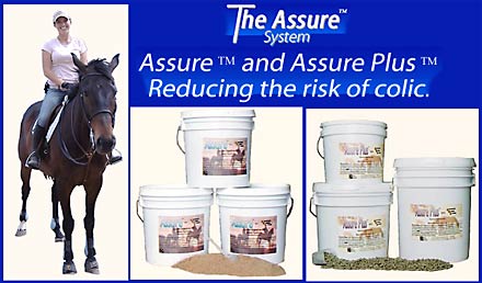 Show Equine Professional Company