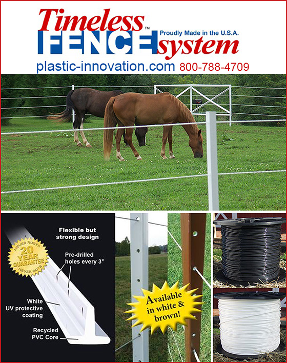 Show Equine Professional Company