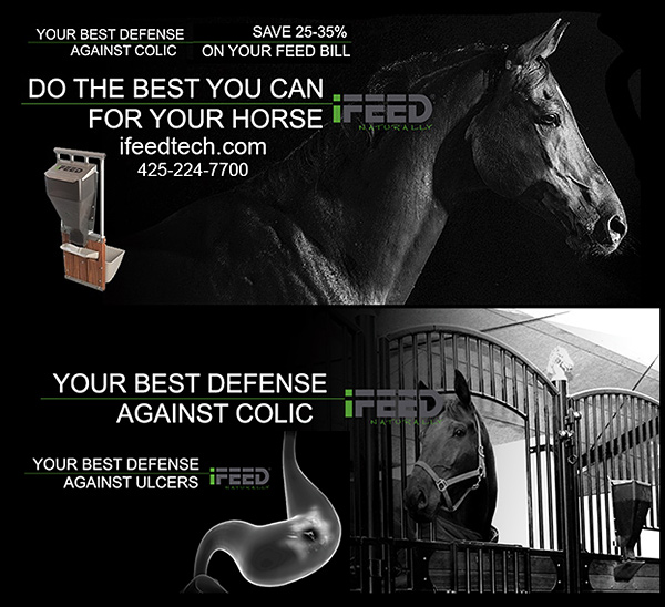 Show Equine Professional Company