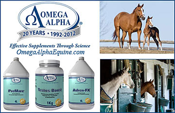 Hormone Supplements for Horses
