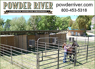 Horse Information , Horse Training, Horse Care , Info Horse Information ...