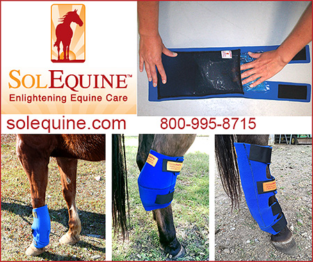 Cold Therapy for Horses